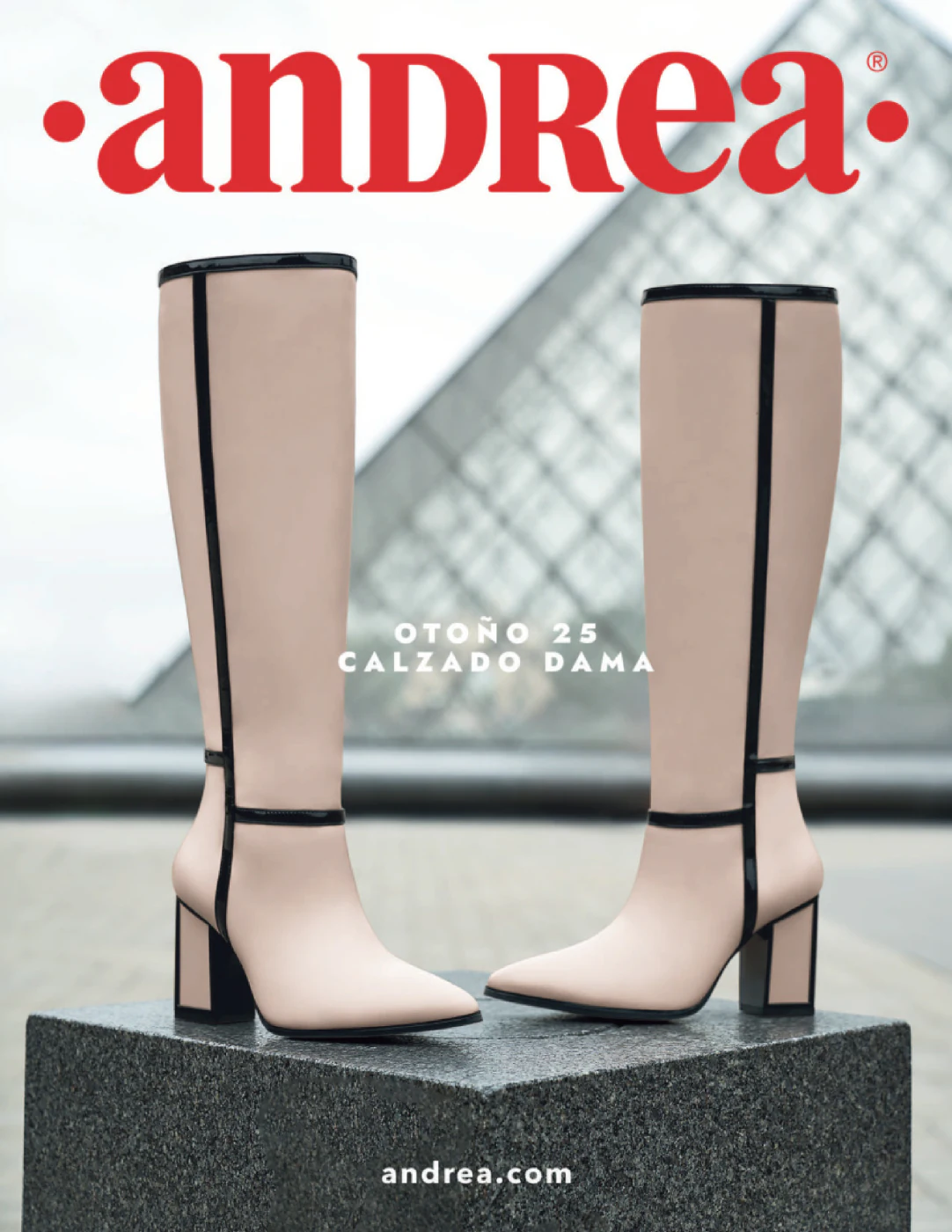 Catalogo de Zapatos Andrea 2025: Calzado Dama • México | CatalogosMX